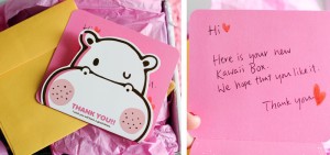 Let’s check out KAWAII BOX! – Twinkie Chan Blog
